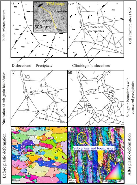 Figure Presents The Development Of Sub Grains During Plastic