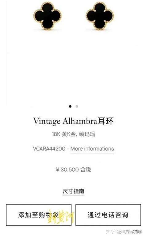 网友质疑疫情发布会上副局长戴3万元耳钉4000元丝巾当地纪委已介入 知乎