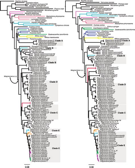 Summary Of The Different Topologies Obtained From The Molecular Only