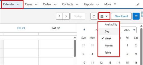Create A Custom Calendar In Salesforce