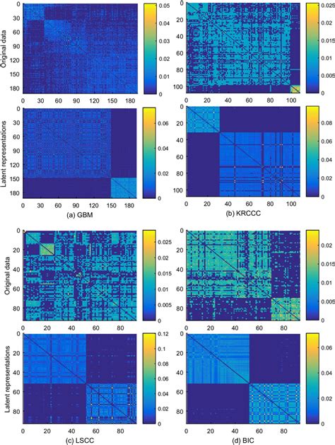Experimental Visualizations Of The Fused Similarity Matrices On Four