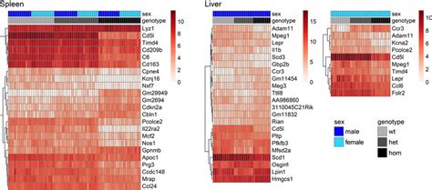 Hierarchical Clustering Of Normalized Transform Gene Expression