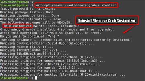 How To Install And Use Grub Customizer On Linux Mint Linux Genie