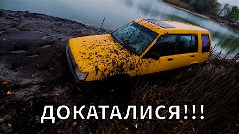 ПОПАЛИ НА ГРОШІ НЕРВИ І ПОГАНИЙ НАСТРІЙ ВИЇХАВШИ ПО ГРИБИ Youtube