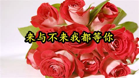 新歌！《来与不来我都等你》痴痴的等待，无怨无悔今生的相遇腾讯视频