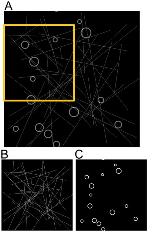 Structural Mask For Simulated Data A Lines And Circles Cropped