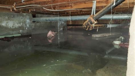 Where Is Carole Hoff Who Was Married To John Wayne Gacy During His Murder Spree