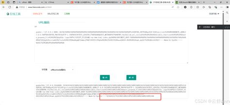 Ctfhub Web Ssrf（fastcgi协议 Dns重绑定 Bypass） Csdn博客