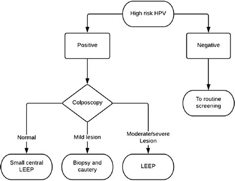 Figure 1 From Performance Of Vaginal Self Sampling For Human Papillomavirus Testing Among Women