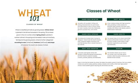 Classes Of Wheat Wheat Foods Council