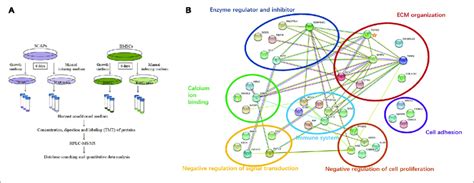 Bioinformatics Analysis Of The Secretome A Procedure Workflow B Download Scientific