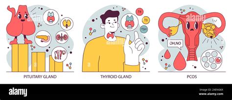 Endocrine System Organs And Disease Set Human Glands Function Pituitary Adrenal And Thyroid
