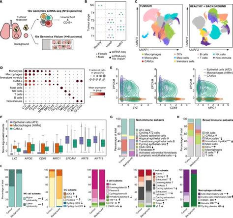 Jon Stacks On Linkedin Single Cell And Spatial Transcriptomics