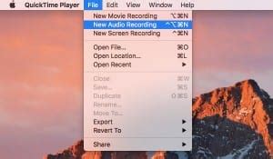 How To Record Sound On A Mac MacTip