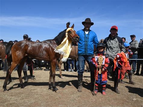 Мянган долларын бооцоот дааганы уралдаанд МУ ын алдарт уяач Жигжидсүрэнгийн Түмэн Өлзийн хээр