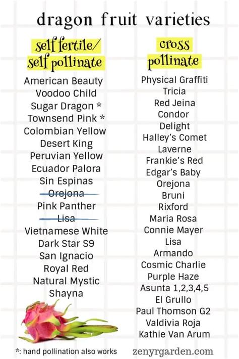 Best Dragon Fruit Varieties For Commercial Growing