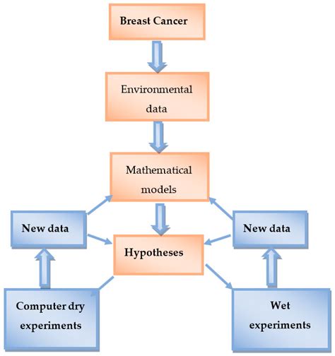 Fractal Fract Free Full Text Numerical Simulation Of Nonlinear Dynamics Of Breast Cancer