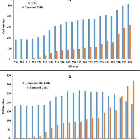 The Ratio Of All Cells To Terminally Differentiated Cells A Top And