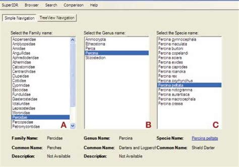 Taxonomy Browser In Superidr A List Of Families B Genera In The