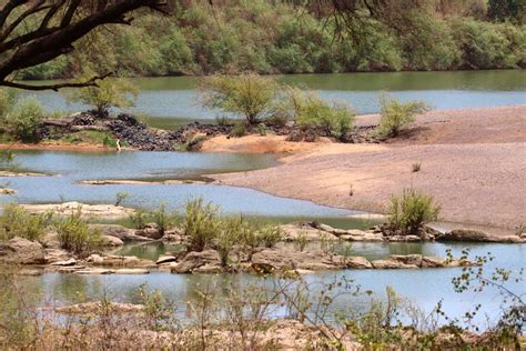 Parc National Du Niokolo Koba Senegal