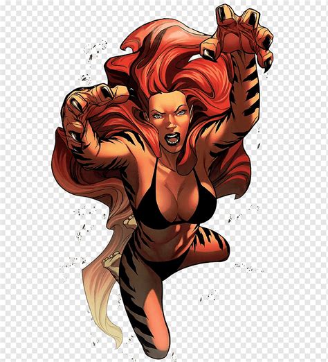 Marvel Tigra And Spiderman