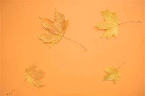 가을 판매 배경 레이아웃은 쇼핑이나 프로모션 포스터 프레임 전단지 또는 웹 배너를위한 잎으로 장식합니다 0명에 대한 스톡 사진 및 기타 이미지 Istock