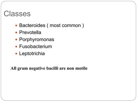 Gram Negative Bacilli Pptx