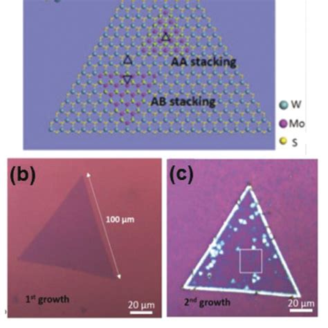 A Illustration Of A A And A B Stacked Mos2 Ws2 Vertical Download Scientific Diagram