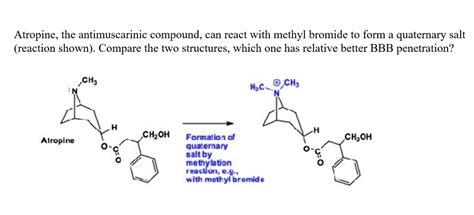 Solved Atropine The Antimuscarinic Compound Can React With Methyl Bromide To Form A
