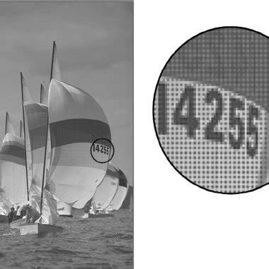 Bayer Color Filter Array Pattern Download Scientific Diagram