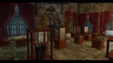 Placeable Display Cases At Skyrim Special Edition Nexus Mods And