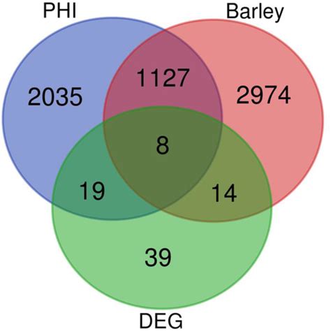 Chitosan Modulates Pochonia Chlamydosporia Gene Expression During