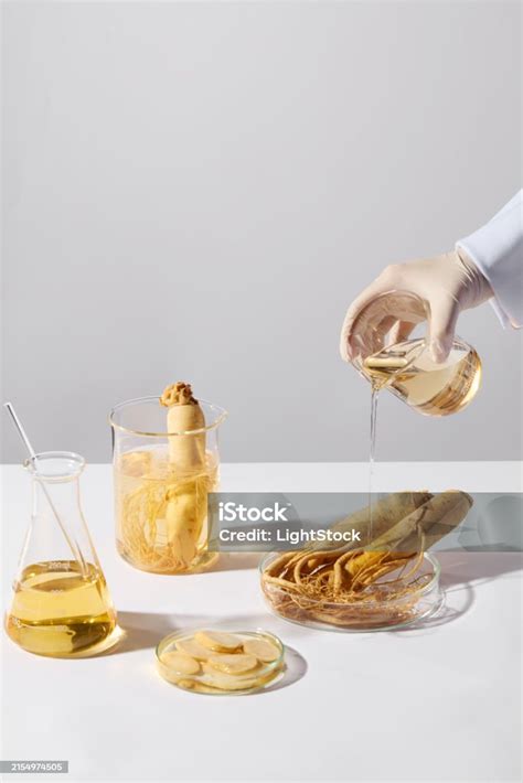 일부 유형의 실험실 유리 제품에는 흰색 조리대에 인삼 뿌리와 인삼 에센스가 표시되어 있으며 과학자는 인삼 뿌리가 담긴 페트리 접시에 쏟아지는 노란색 용액 비커를 들고