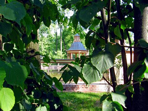 В летнем саду Вера Щукина Социальная сеть ФотоКто