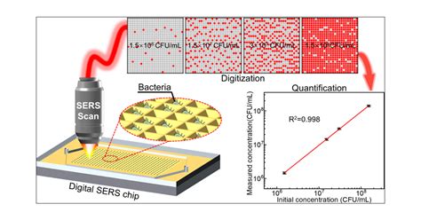Microcavity Array Based Digital Sers Chip For Rapid And Accurate Label Free Quantitative