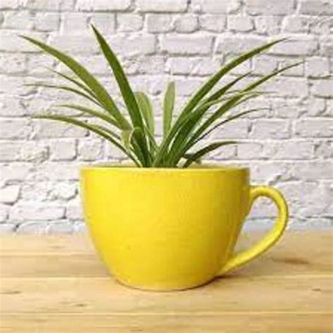 Designer Ceramic Flower Pot For Interior Decor At ₹ 85 Piece In Khurja