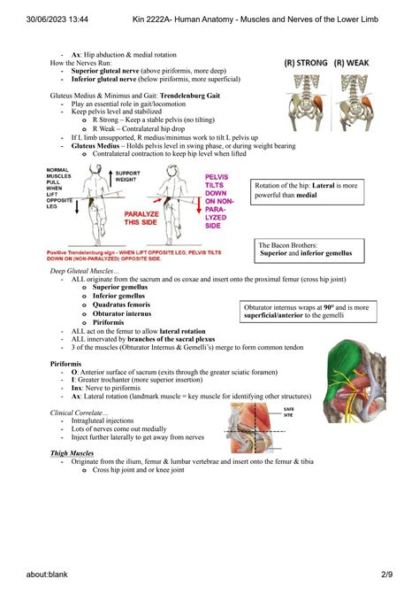 Solution Functional Human Anatomy Anatomy And Cell Biology 2221 The