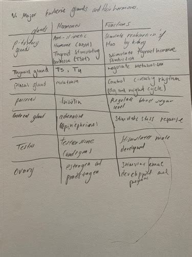 Biology Chapter 12 Flashcards Quizlet