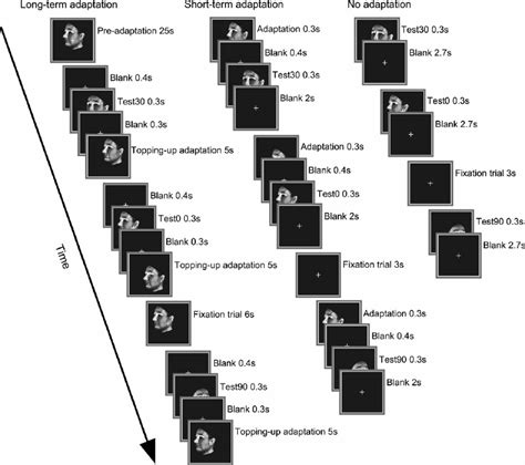 Schematic Descriptions Of The Long Term Adaptation Short Term Download Scientific Diagram