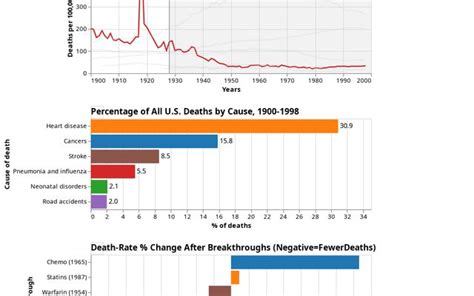 Interactive Dashboard Visualization Project Implementation Ethan