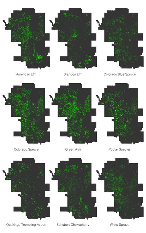 Exploratory Data Analysis Of Urban Trees In Calgary Saadiq Mohiuddin