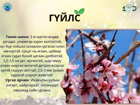 Арга Билэг Арга Билэг Added A New Photo