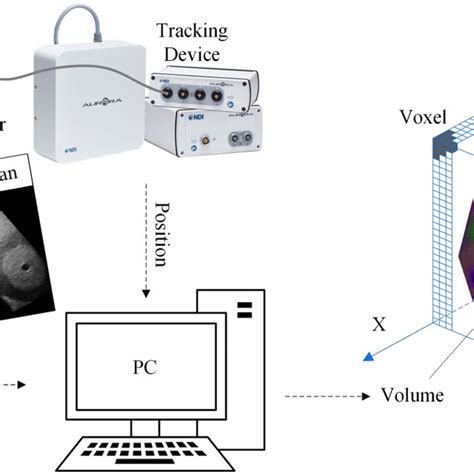 Illustration Of Freehand Ultrasound Acquisition And Relationship Download Scientific Diagram