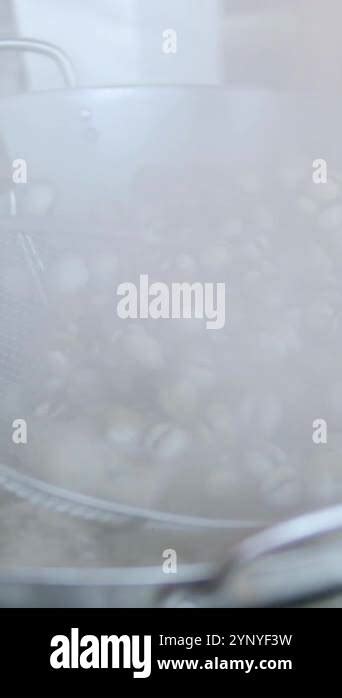 Bivalve Mollusks Bivalves Or Plate Gilled Bivalvia Bivalva