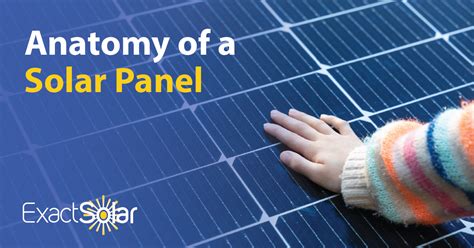 Anatomy Of A Solar Panel Exact Solar