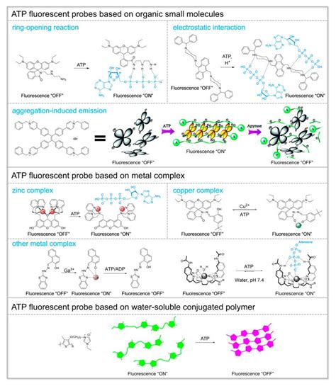 Review Fluorescentprobes Adenosine5triphosphate Designstrategy… Chemosensors Mdpi