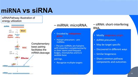 Rna Interference Unraveling Genetic Silencing Pptx