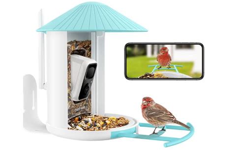 Review Netvue Birdfy Lite Smart Bird Feeder Camera