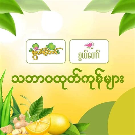 စွယ်တော် ရှားစောင်းလက်ပပ်ခေါင်းလျှော်ရည်နှင့်ဆံပင်သန်ဆီဖြန့်ချီရေး Home