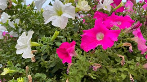 Так а кому тут у нас сьогодні можна неабияк позаздрити Астроексперти назвали три знаки Зодіаку